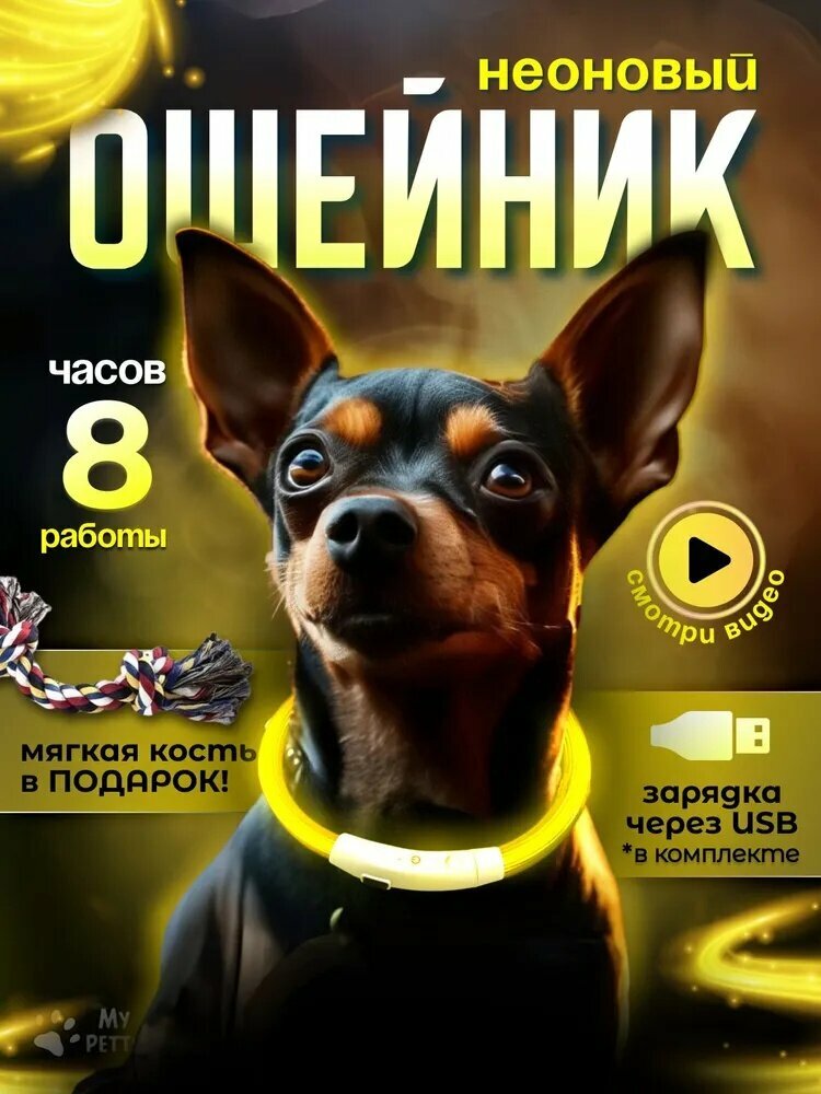 Стильный светящийся аксессуар для питомца с USBзарядкой