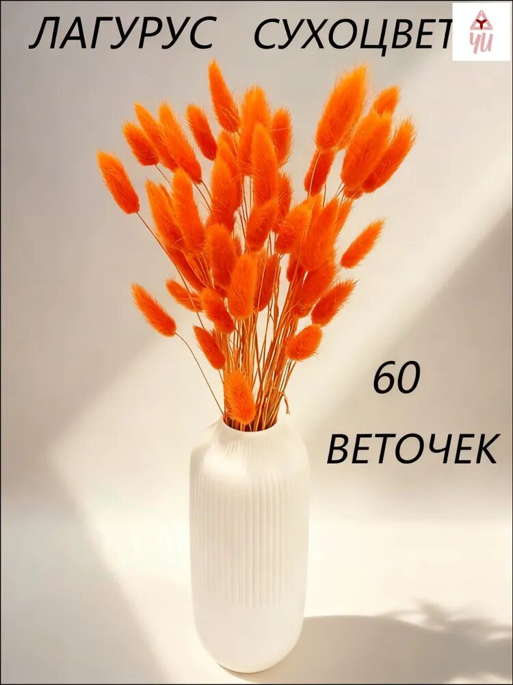 Сухоцветы Лагурус, 55 см, 100 гр, 60 шт