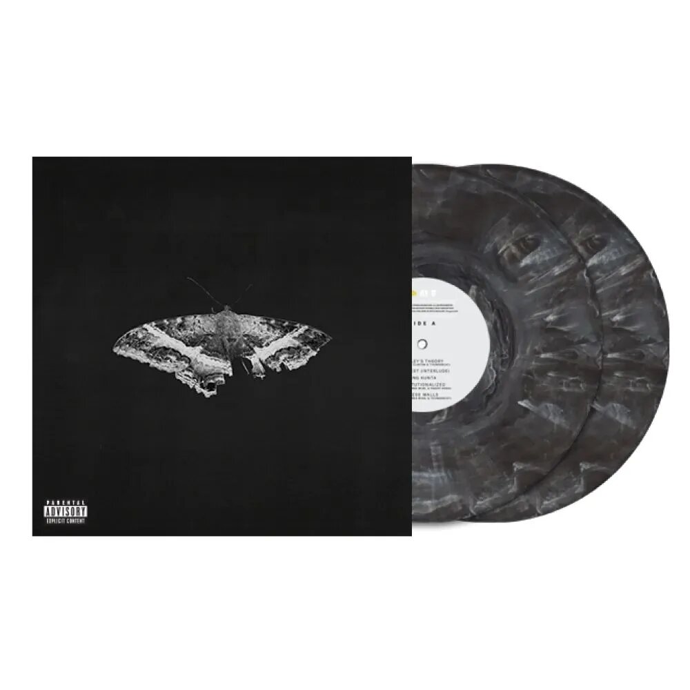 Виниловая пластинка Kendrick Lamar - To Pimp A Butterfly (Limited Metallic Blend Vinyl)