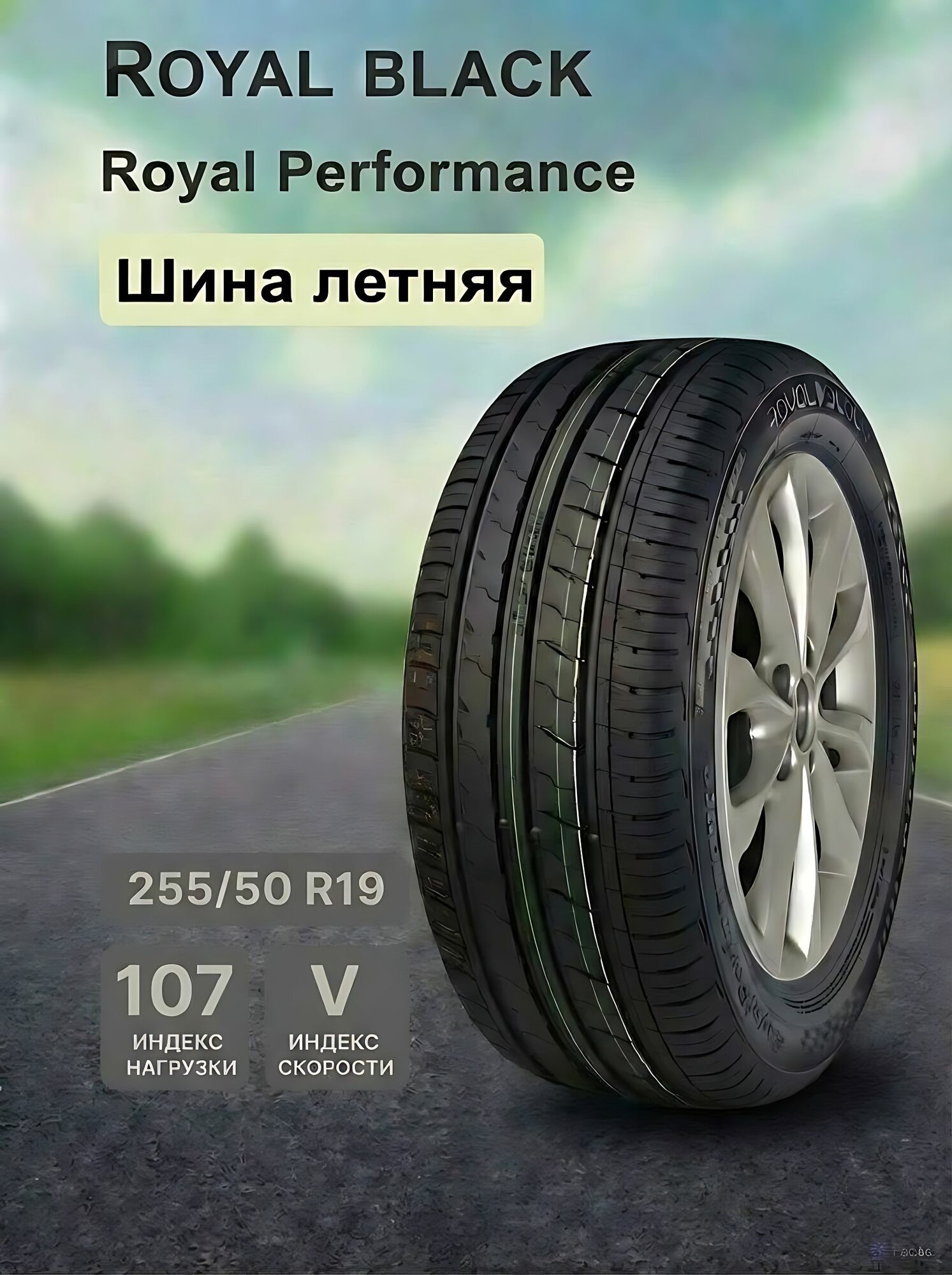 ROYAL BLACK Royal Performance Шины летние 255/50 R19 107V Нешипованные