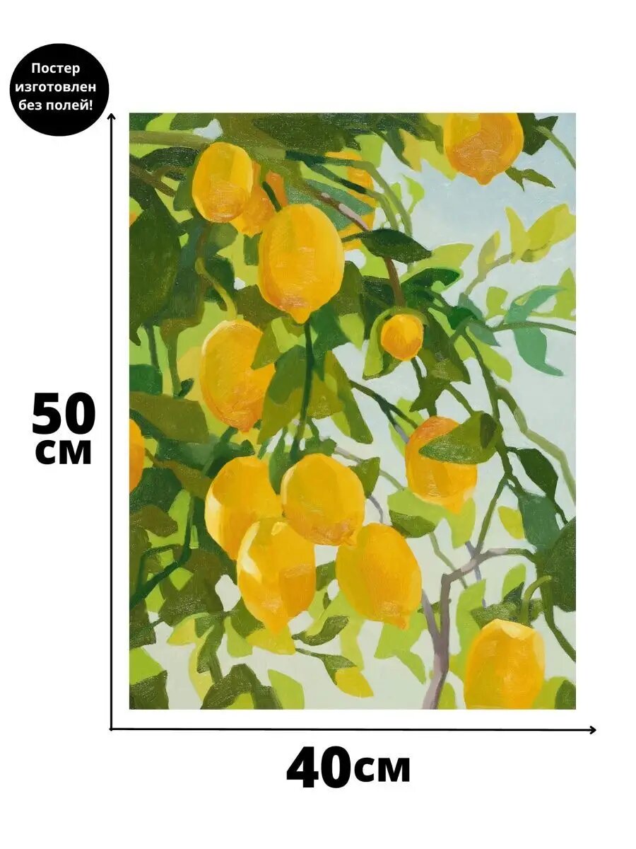 Постер лимон для кухни, 40 x 50 см, материал бумага, без рамы — фото 1