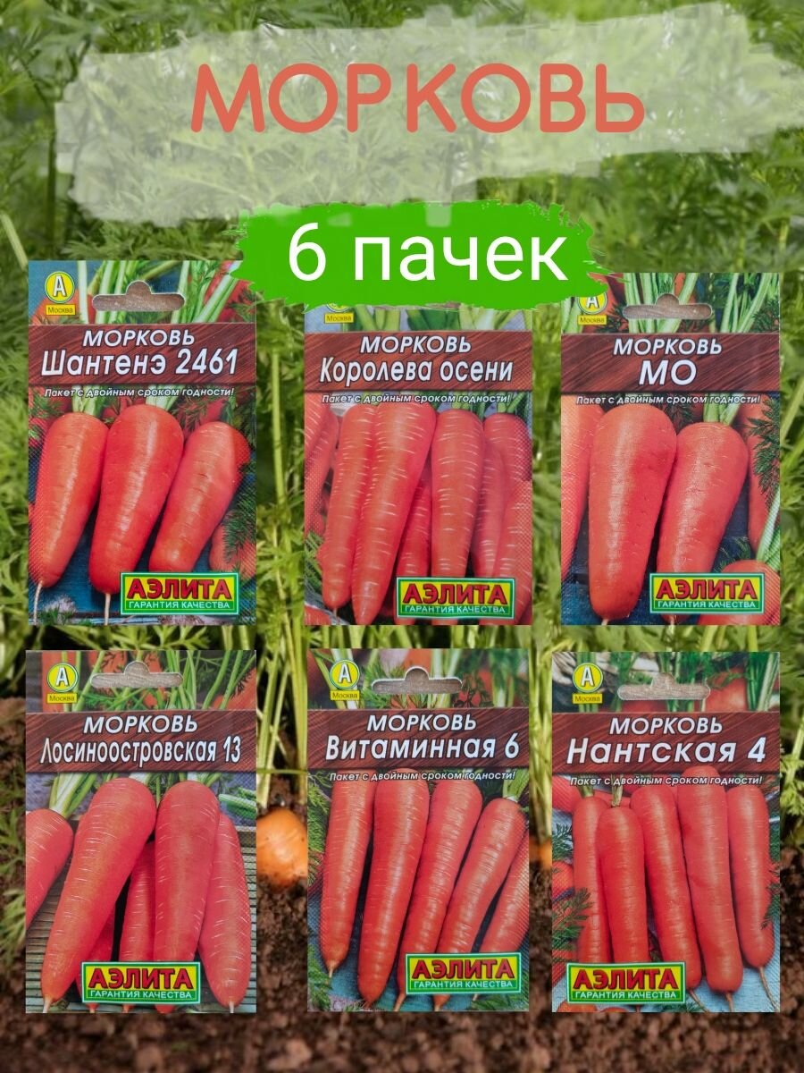 Набор семян моркови для посадки, 6 сортови