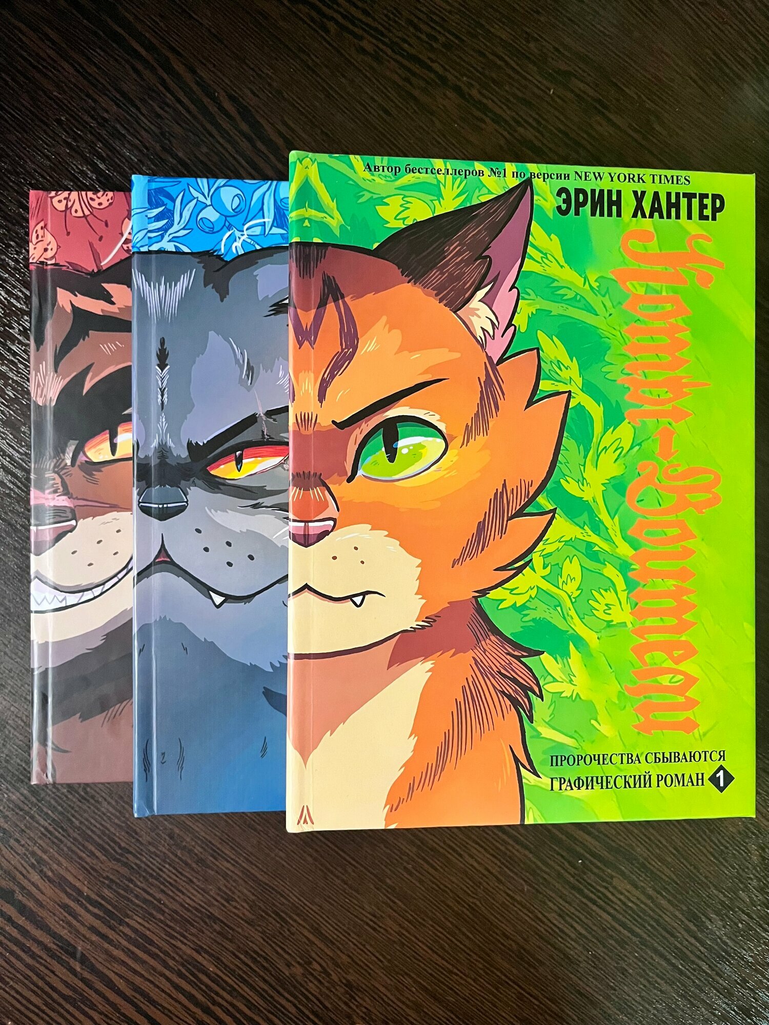 Коты-воители. Графическая новелла 3 части