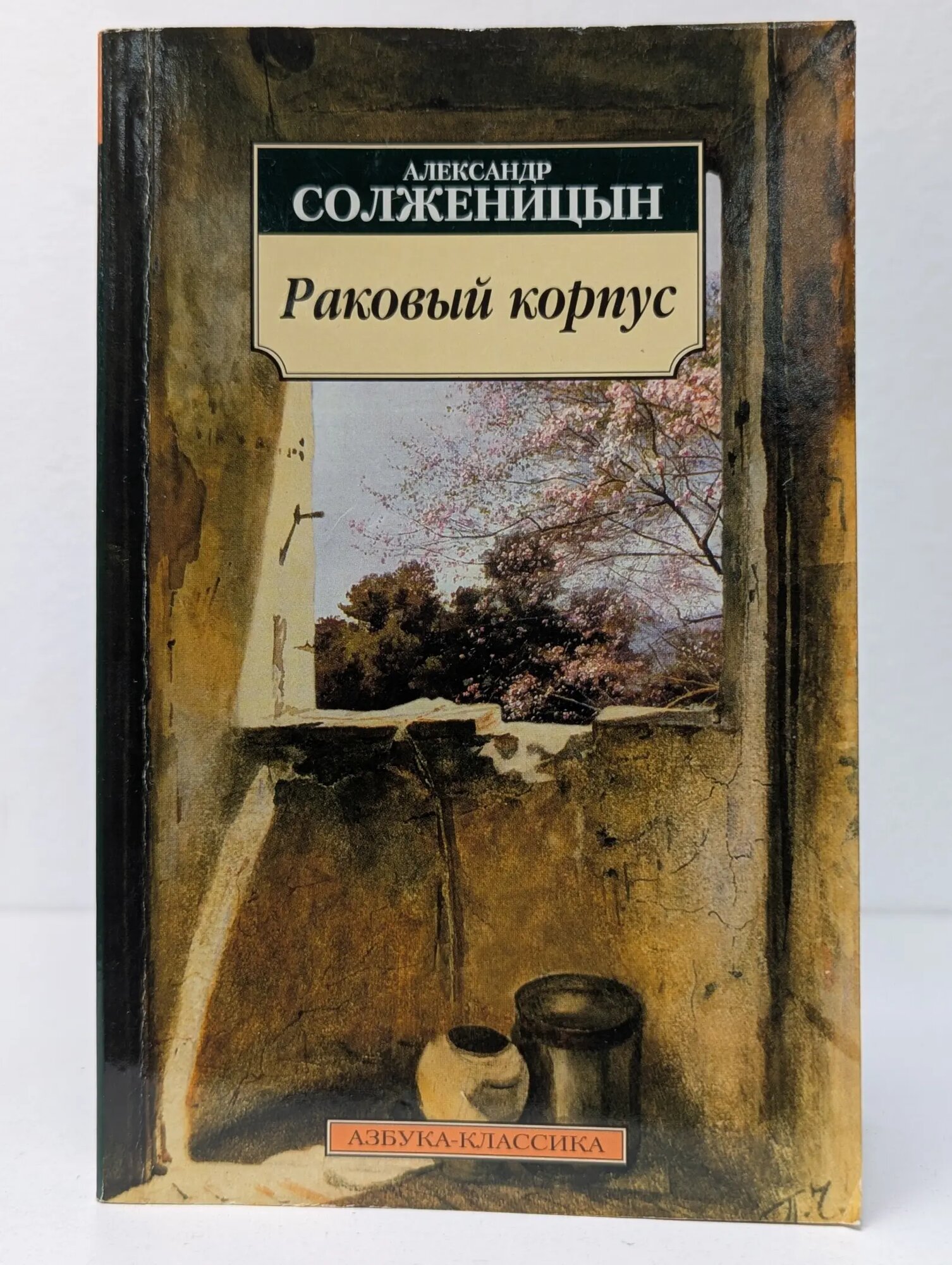 Раковый корпус Солженицын Александр Исаевич 2007