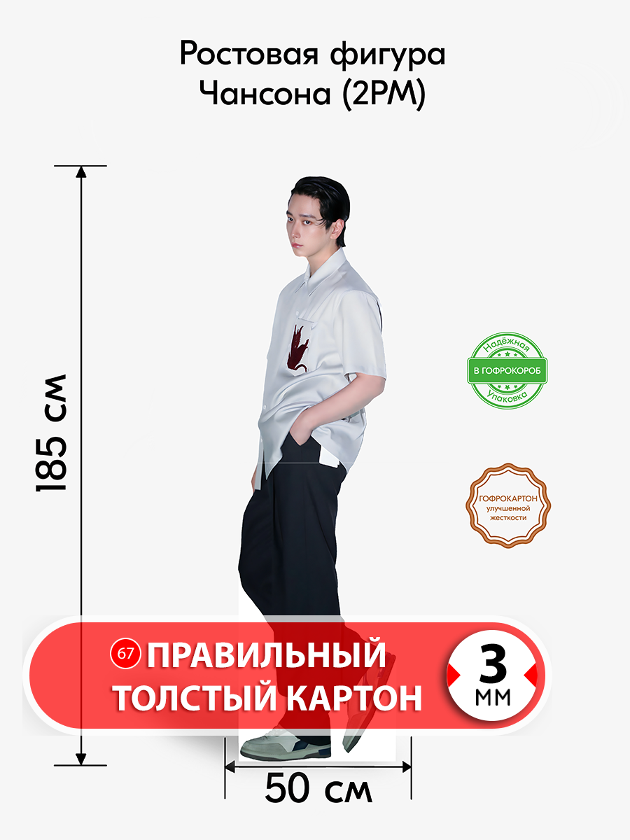 Аксессуар для фотосессий, Хван Чансон (2PM) 2, ростовая фигура