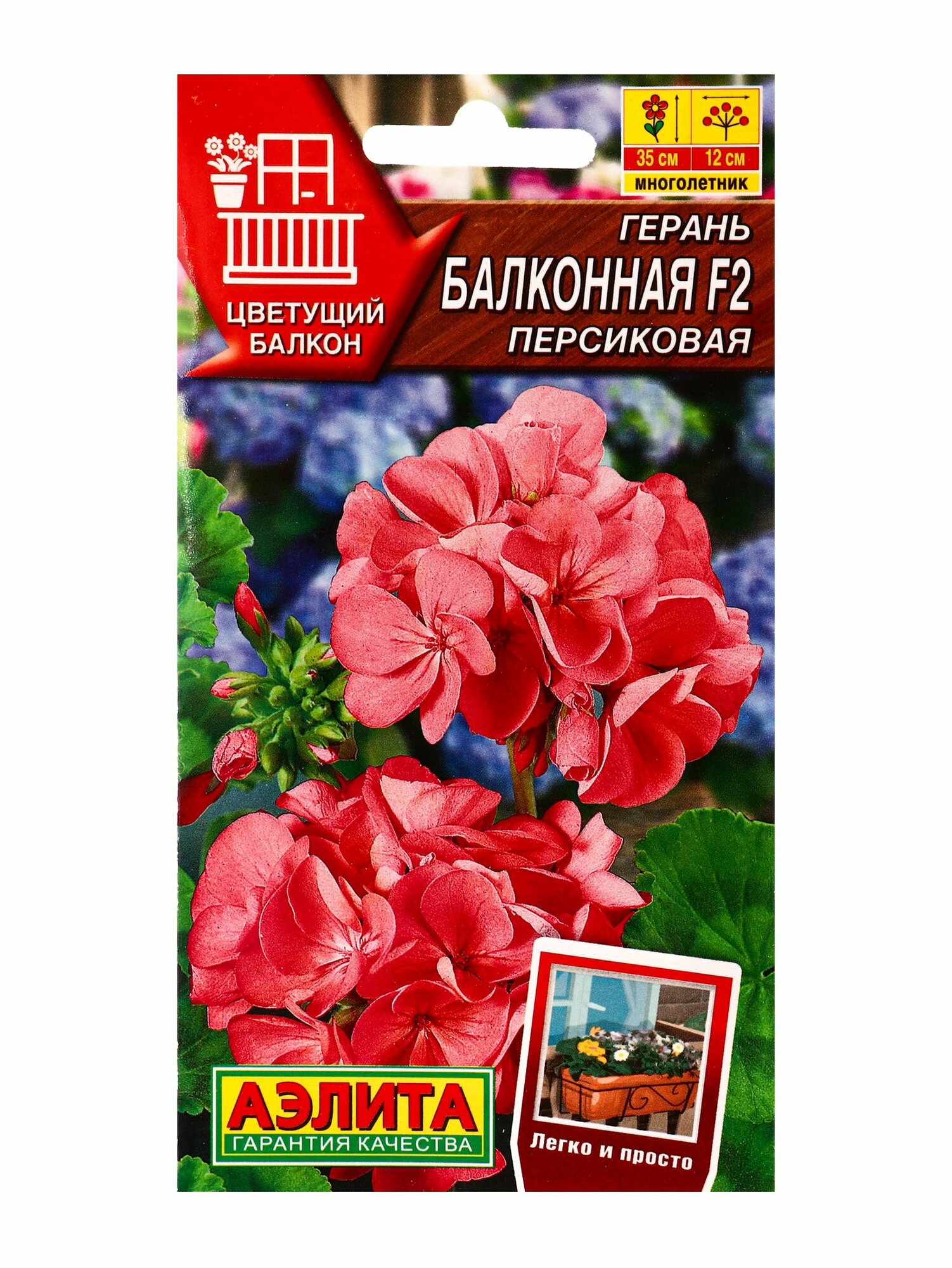 Семена цветов Герань, Балконная персиковая F2 "Цветущий балкон" 5 шт.
