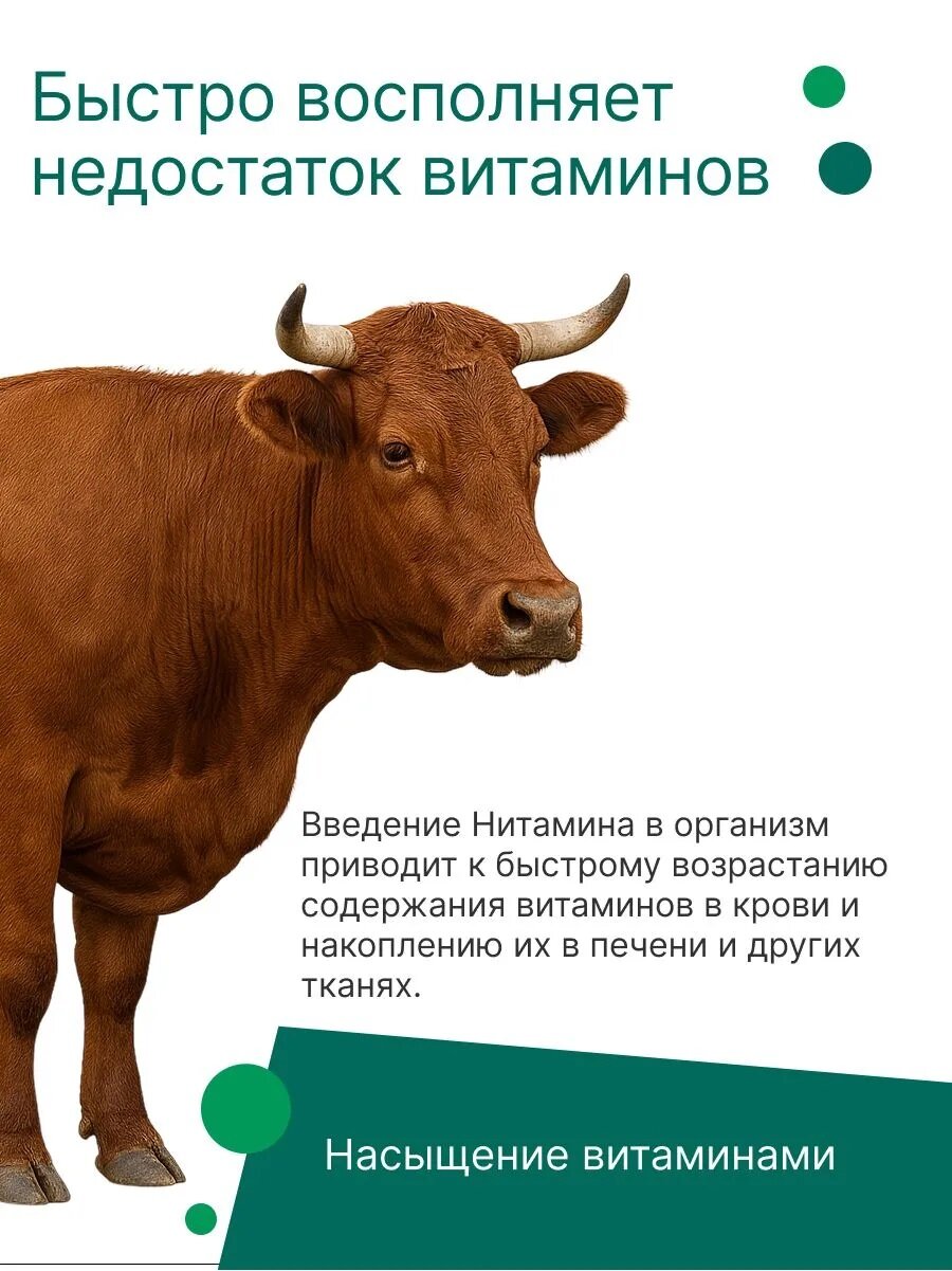 NITA-FARM Нитамин, витамины А, D3, E, C, инъекции, для птиц, овец, кроликов, кошек, лошадей, собак — фото 1
