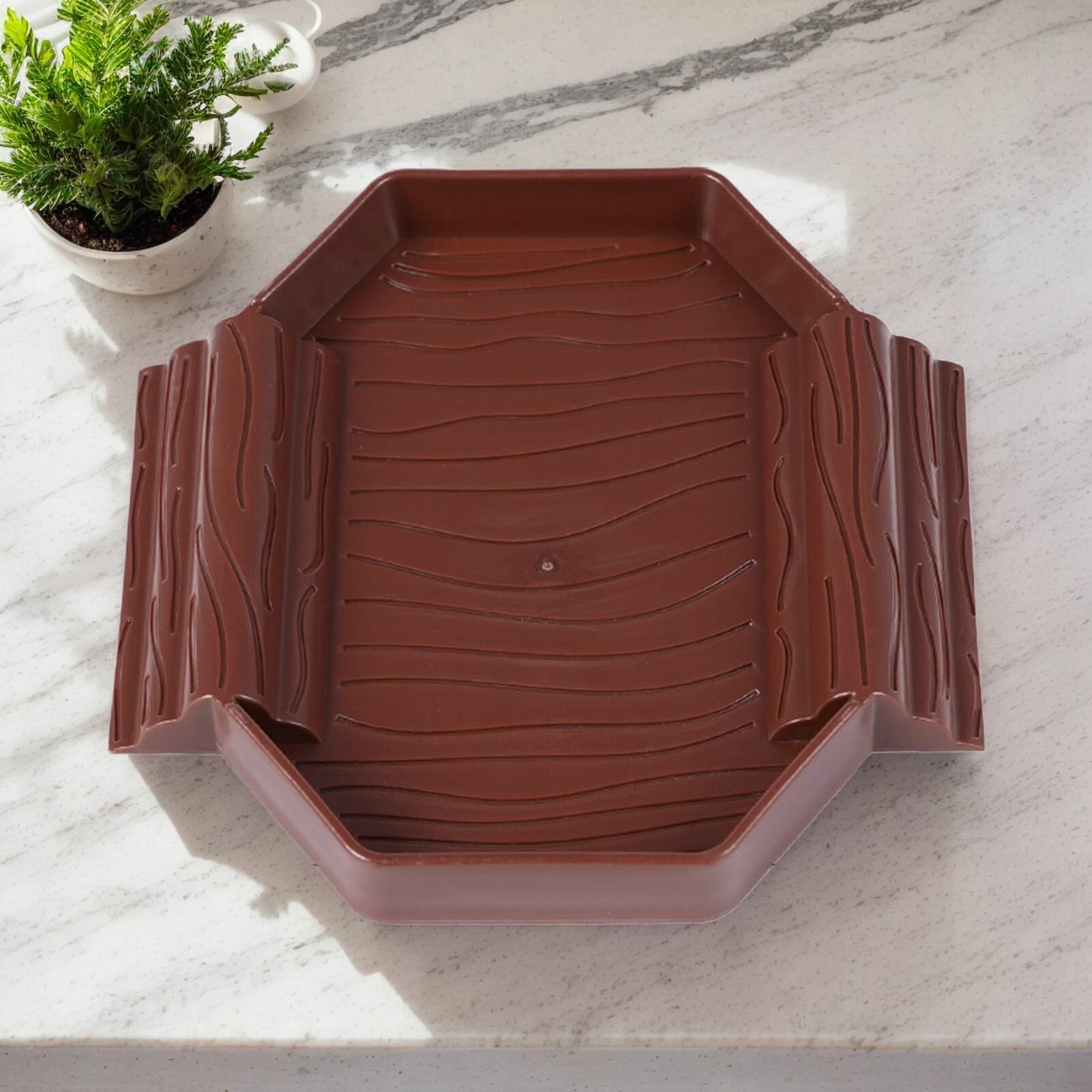 Поилка для рептилий, черепах и ящериц