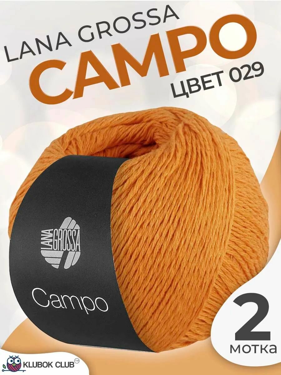 Пряжа для вязания Lana Grossa Campo хлопково-вискозная цвет 029, 2 мотка