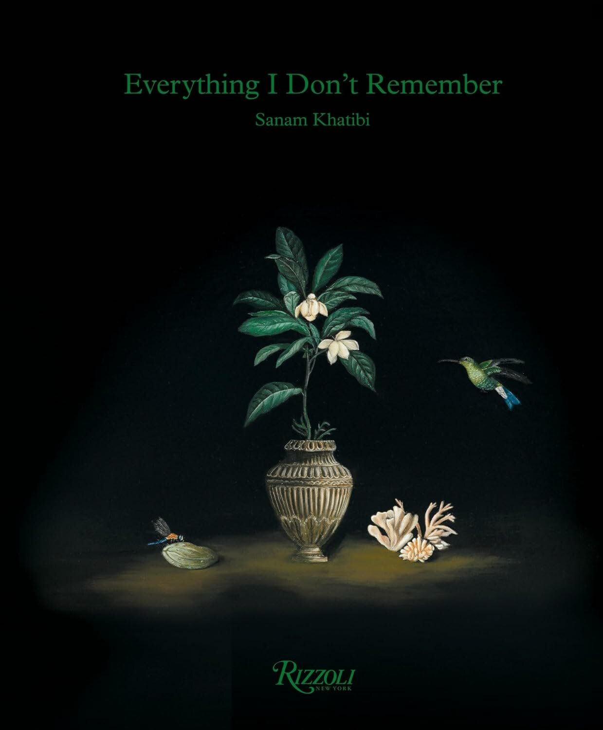 Sanam Khatibi: Everything I Dont Remember