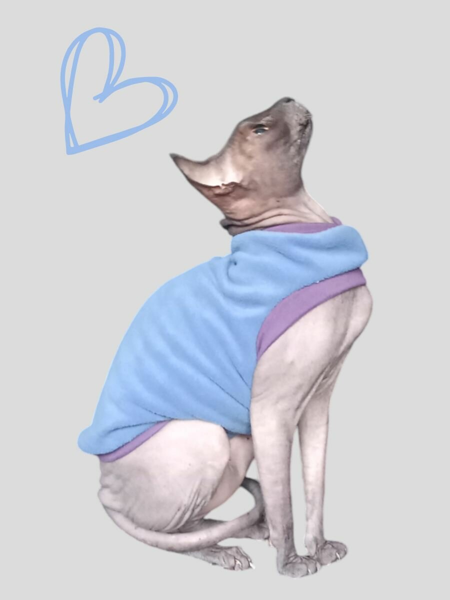 Одежда для животных