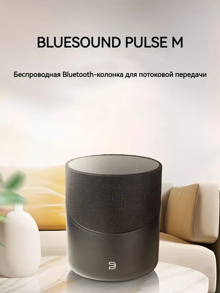 Мультирум Bluesound Pulse M Black