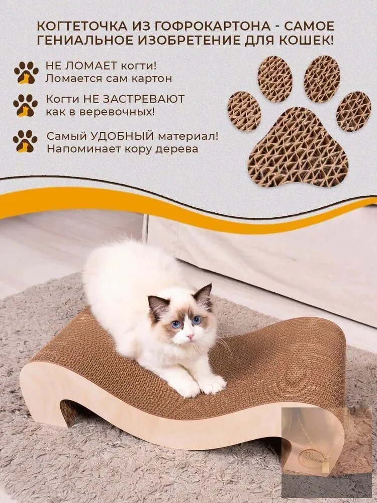 Когтеточка — фото 1