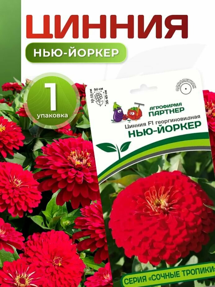 Семена циннии "Нью-Йоркер" крупноцветковая