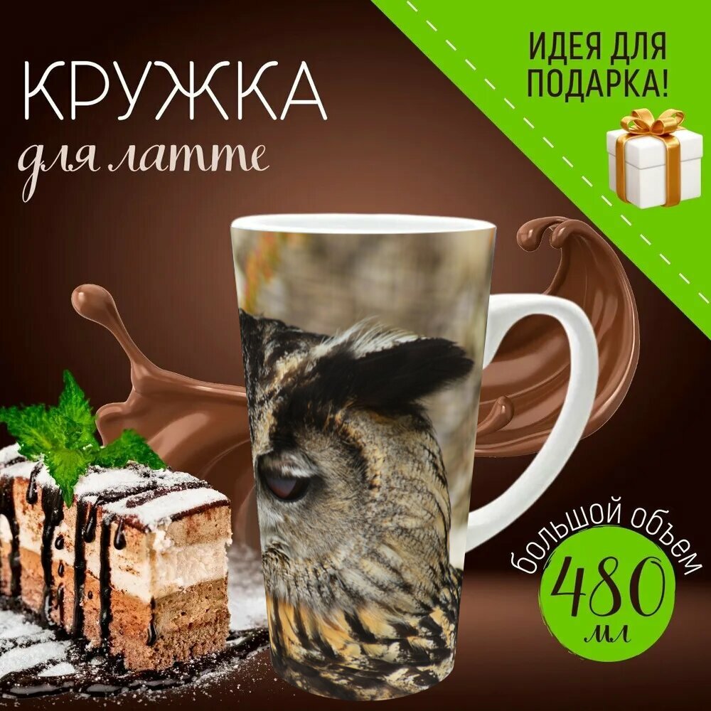 Кружка латте керамическая большая для чая и кофе с прикольным принтом "Евразийский филин, птица, сова" 500 мл.