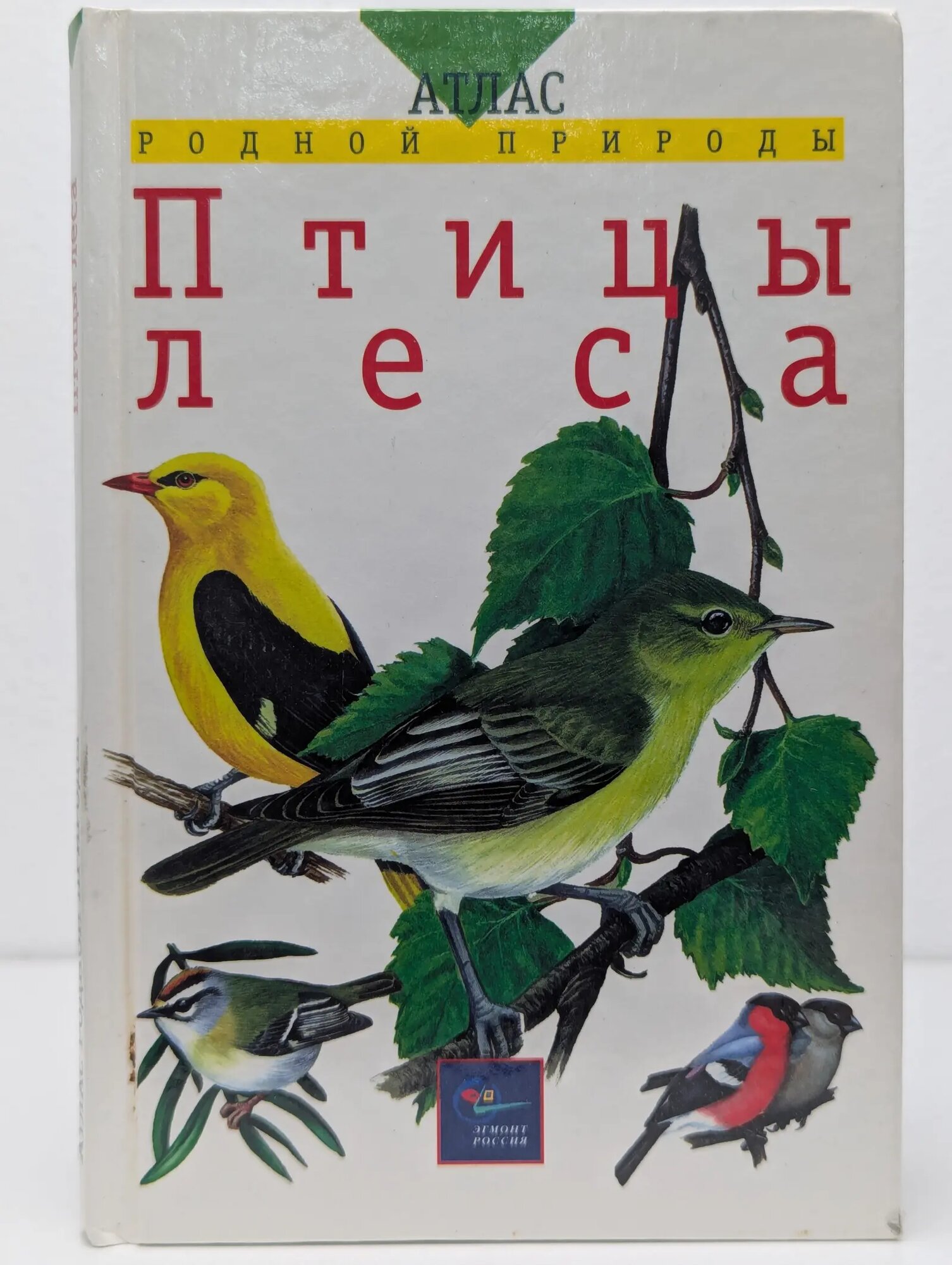 Птицы леса Сивоглазов Владислав Иванович, Бровкина Евгения Тихоновна 2001