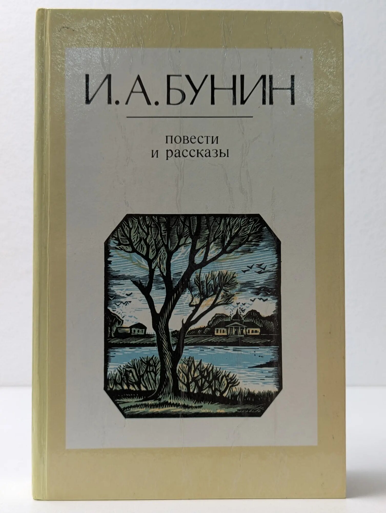 Мастера русской прозы XX века. И. Бунин. Повести и рассказы Бунин Иван Алексеевич 1985