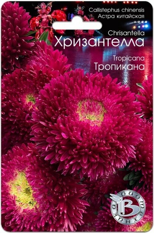 Семена астры БиоТехника Хризантелла, тропикана, махровая, 30 шт