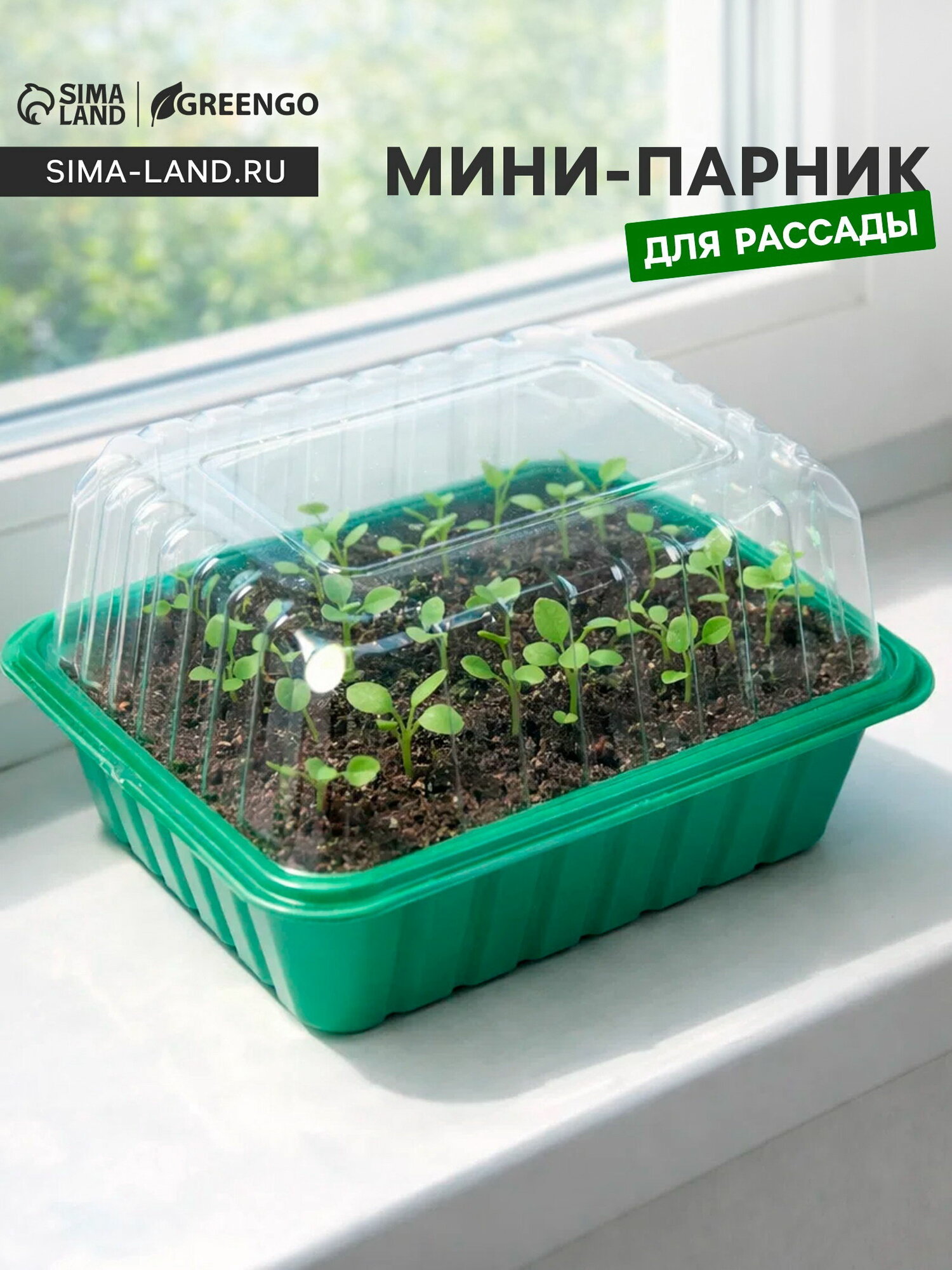 Мини - парник для рассады, 21x16x12, без вставок, пластик, цвет: зелёный, 5 шт.