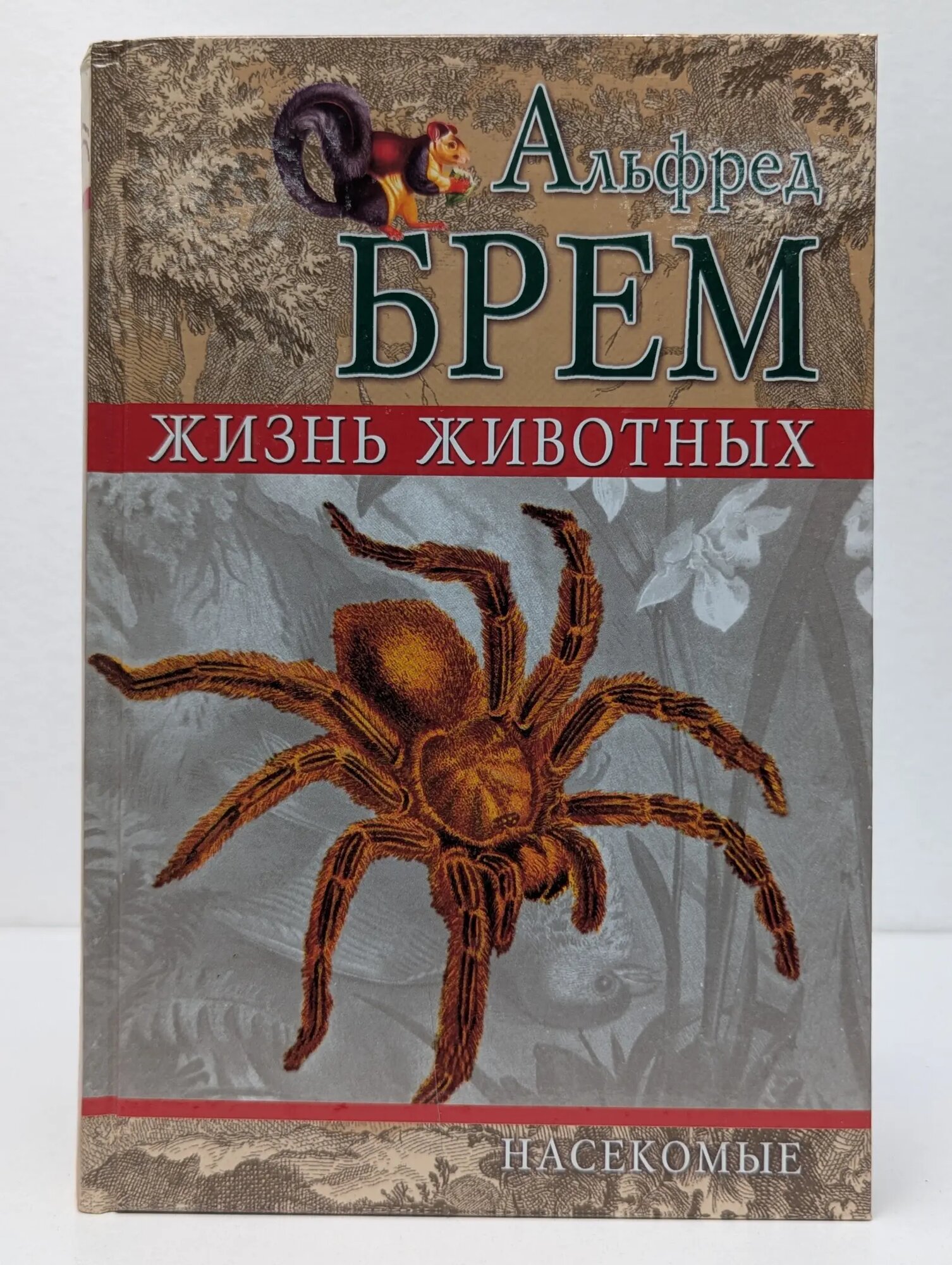 Жизнь животных. Том III. Насекомые Брем Альфред 2008