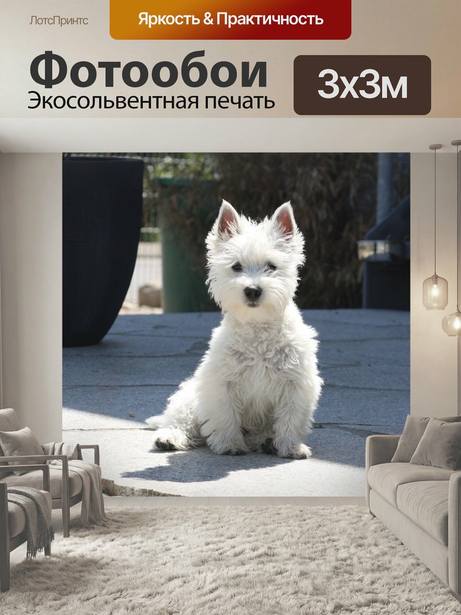 Фотообои "Вест-хайленд-терьер, щенок, собака" 300x300 см. экосольвентная печать