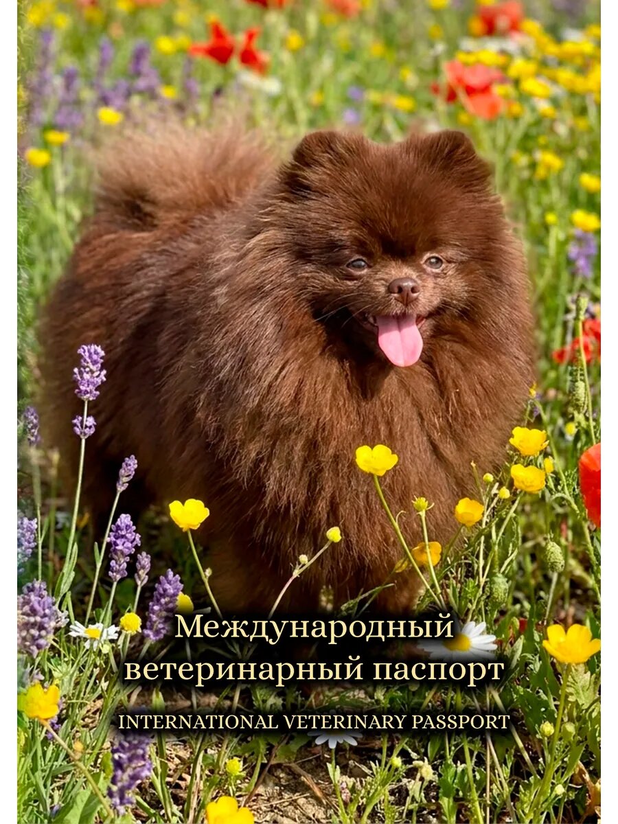 Международный ветеринарный паспорт с аудио-записью
