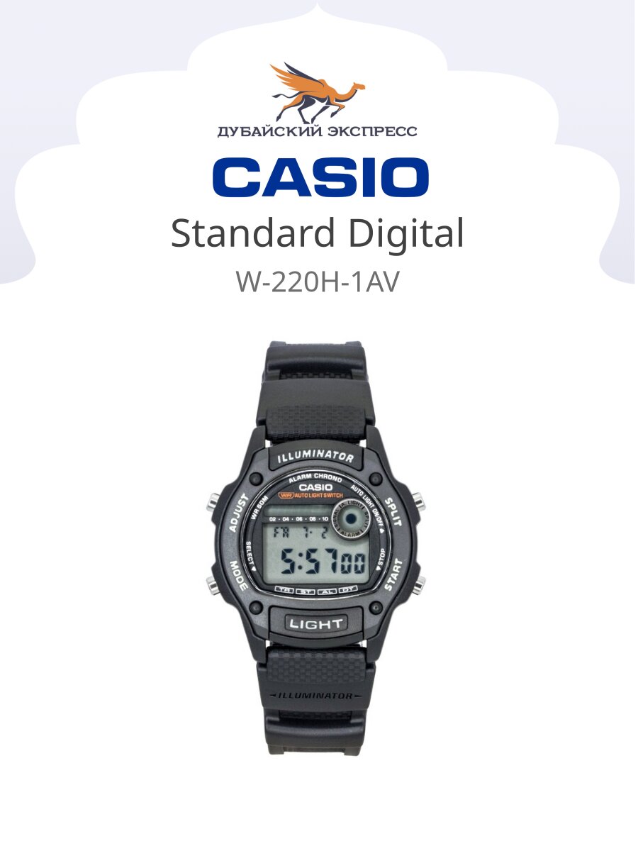  CASIO