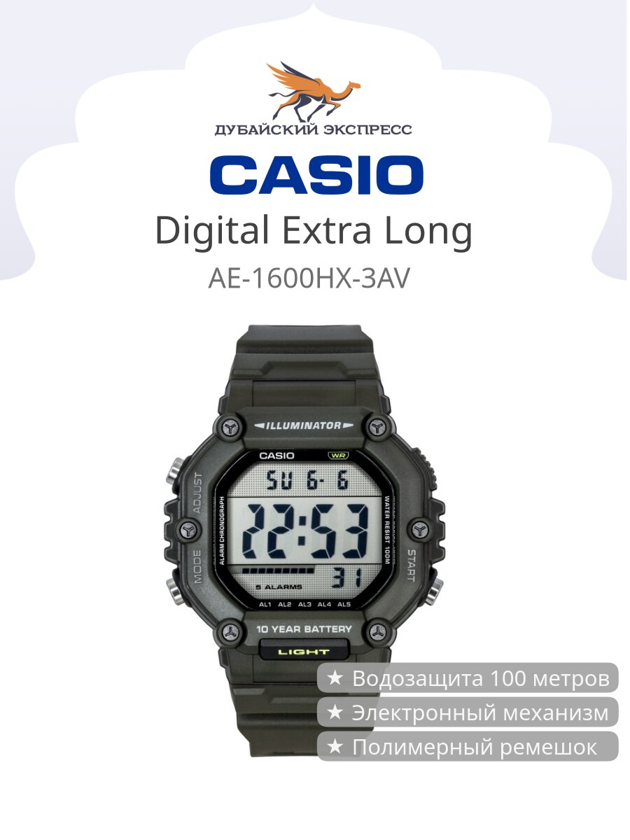  CASIO