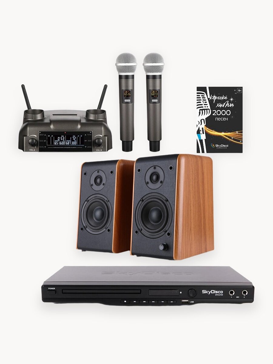 Домашняя караоке система с микрофонами и акустикой SkyDisco Karaoke Home Set 3+B77BT