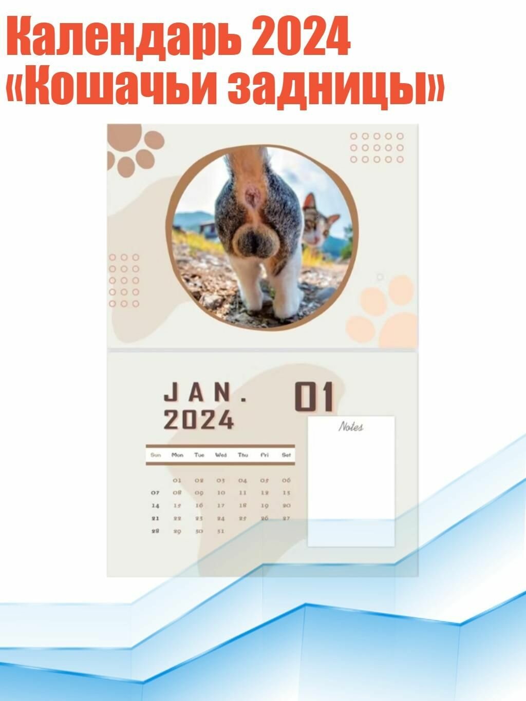 Календарь 2024 Кошачьи задницы