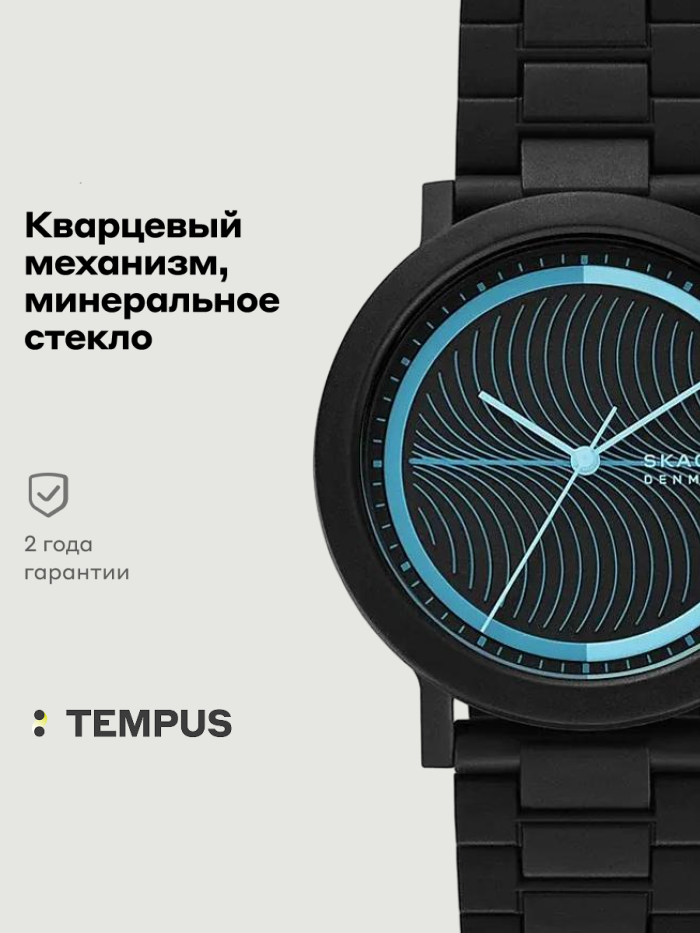 Наручные часы SKAGEN