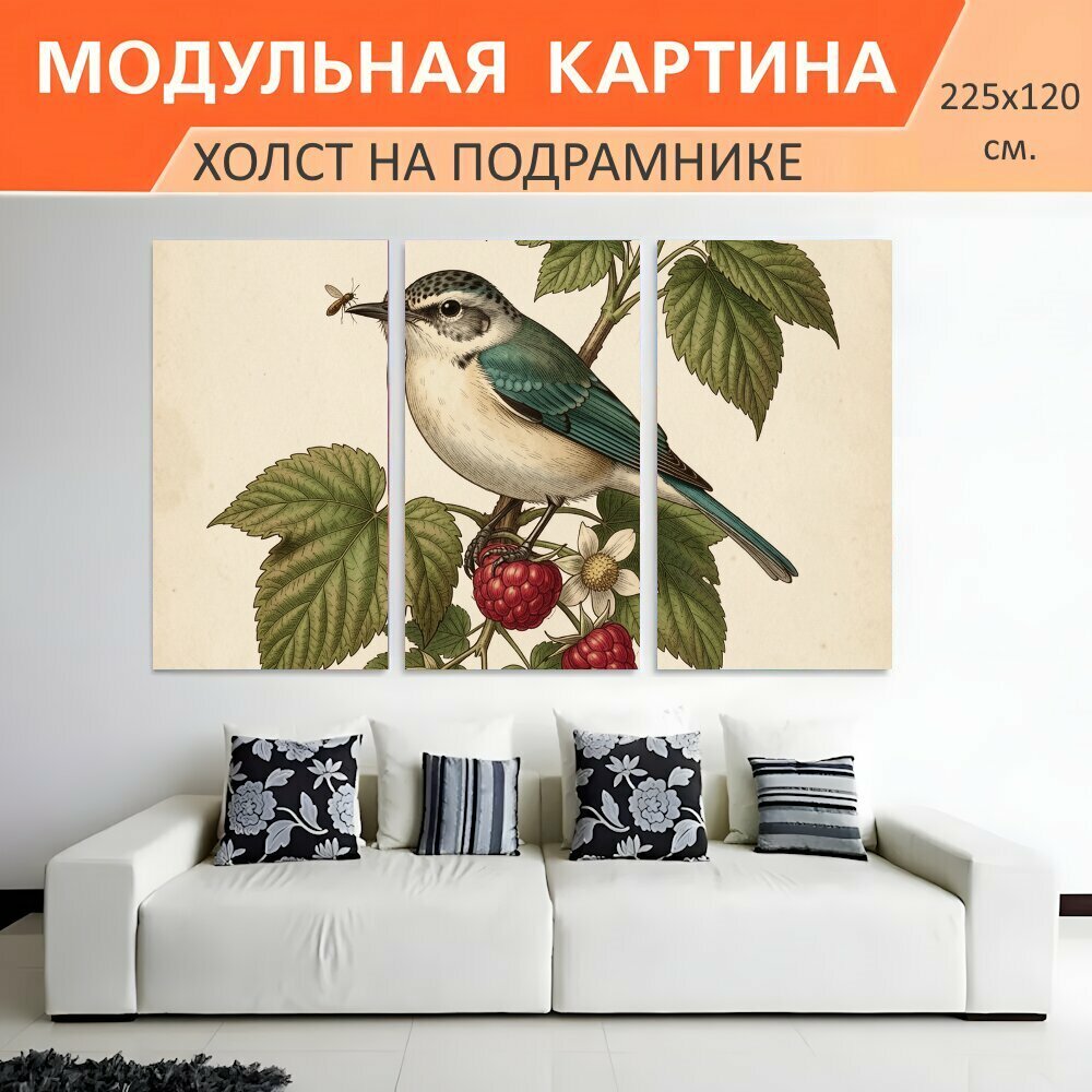 Модульная картина на холсте "Птица на ветке малины. Нежная винтажная ботаническая иллюстрация: небольшая певчая птица среди листьев." триптих на подрамнике 225х120 см. для интерьера