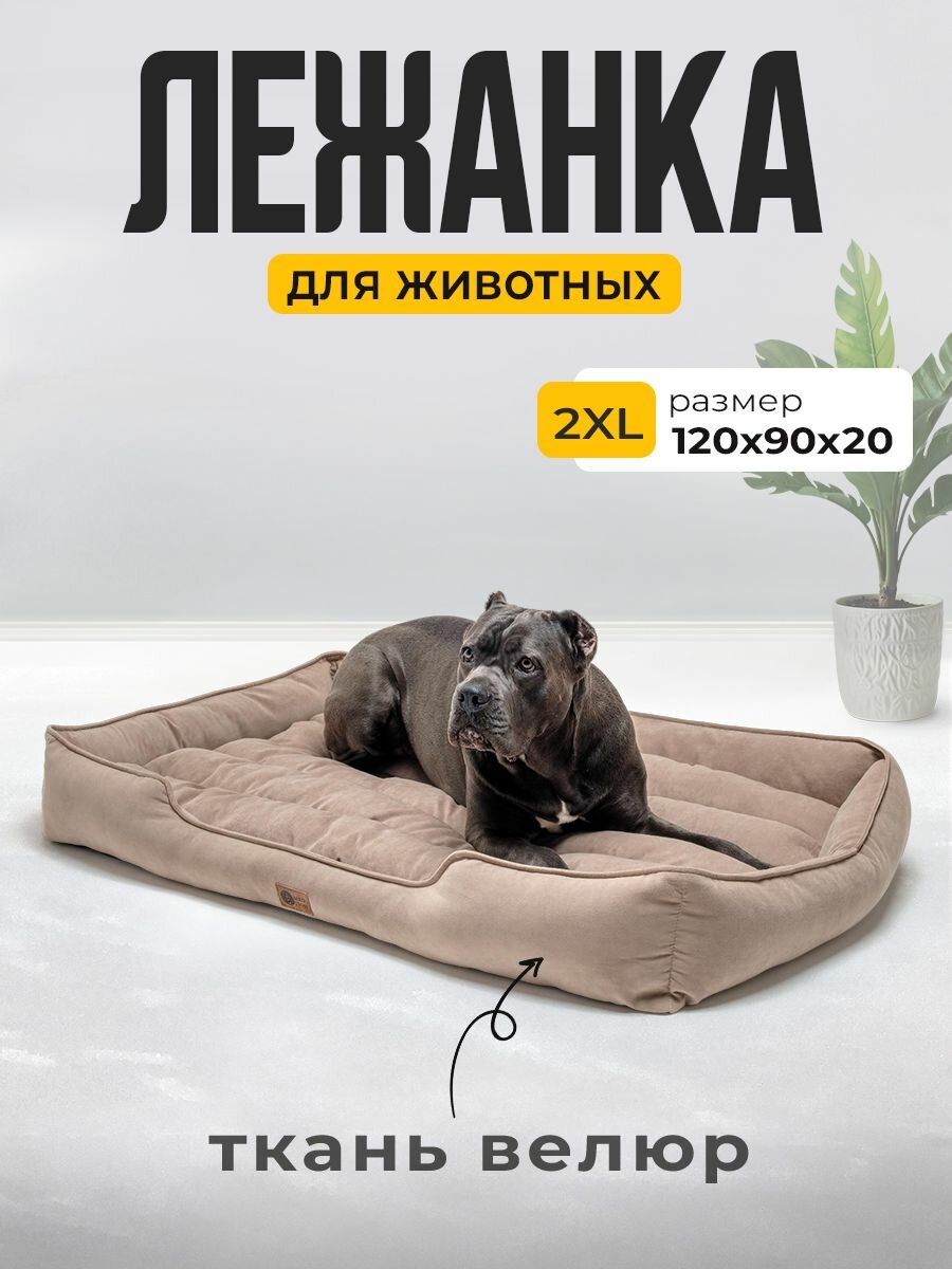 Лежанка для собак крупных пород с бортиками Mad Lion Велюр 120х90 см