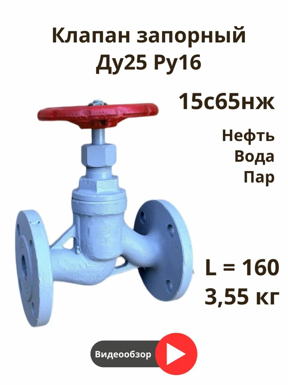Клапан запорный Dn25 Pn16 15с65нж