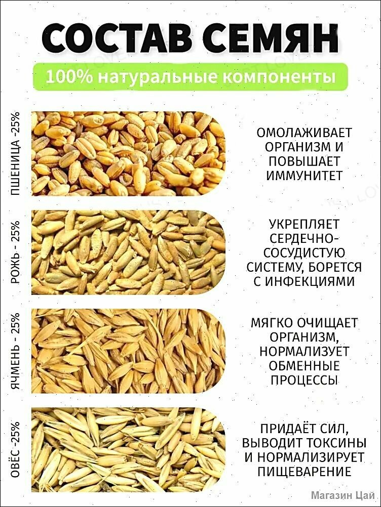 Миска для животных — фото 1