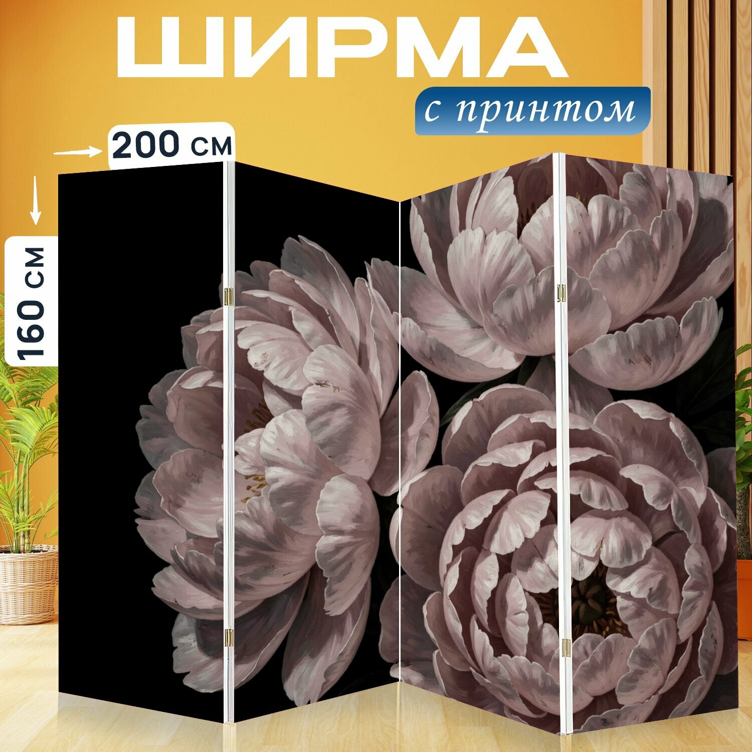 Ширма "Пудровые цветы на черном фоне. Изящная ботаническая композиция с крупными распустившимися бутонами в." перегородка для зонирования комнаты с принтом 200x160 см. на холсте