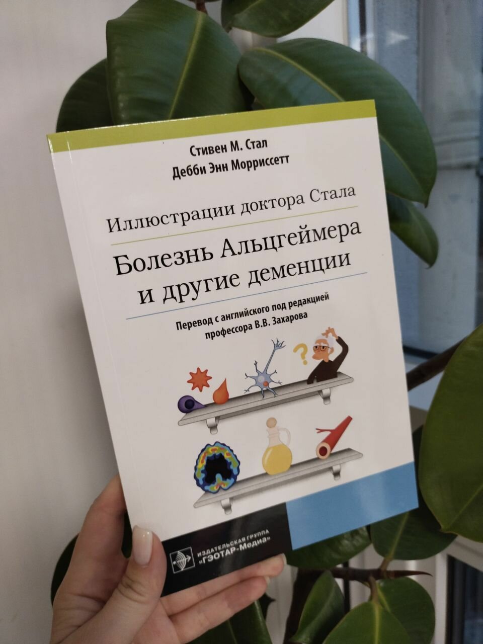 Иллюстрации доктора Стала. Болезнь Альцгеймера и другие деменции