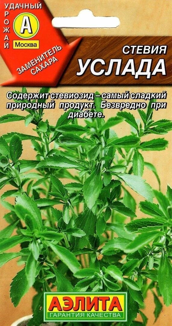 Семена стевии Аэлита многолетнее медовое растение, Услада, природный заменитель сахара, 7 шт