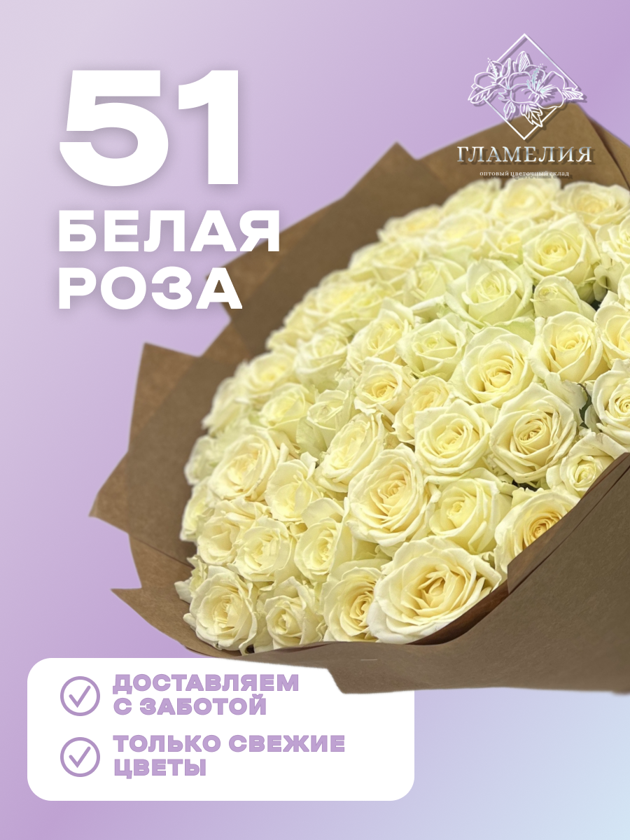 Гламелия цветы Белая Лавина: монобукет из 51 розы Avalanche – купить свежие цветы с доставкой в Москве