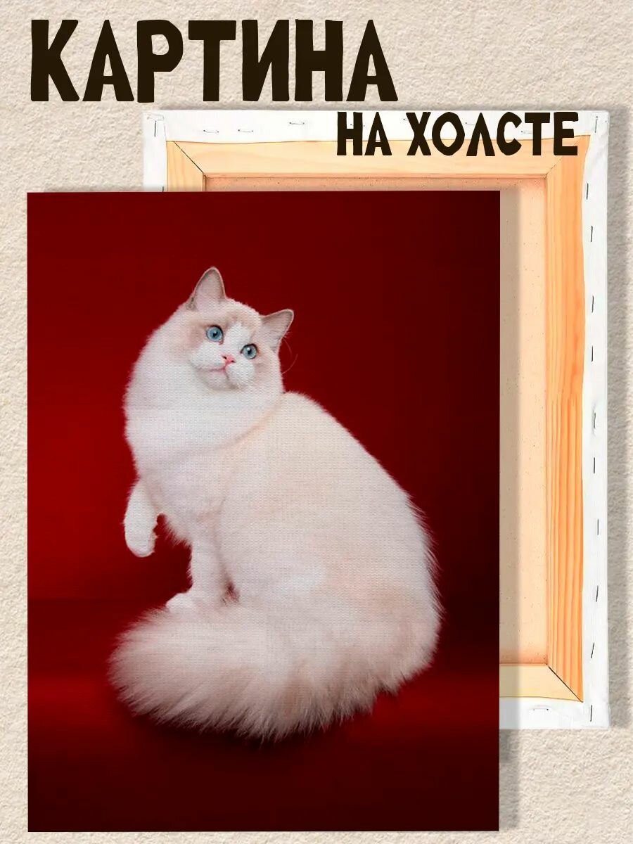 Картина на стену Милые котики, на подрамнике, 1шт, 25х17 размер.