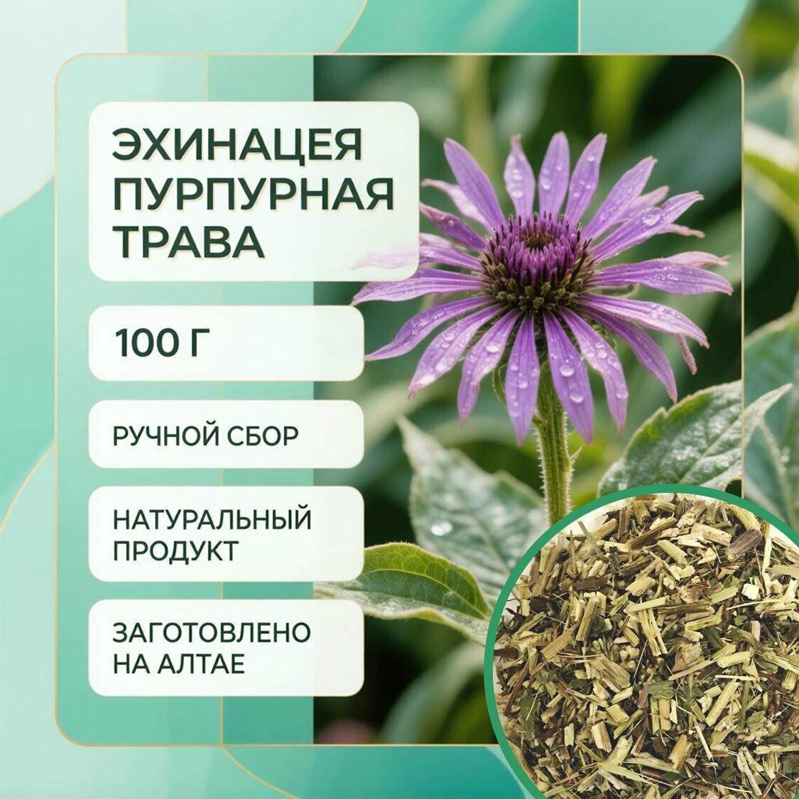 Эхинацея пурпурная, трава резанная 10-12 мм, АлтайМир, 100 г