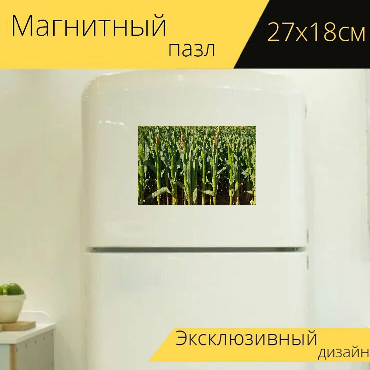 Магнитный пазл "Кукурузное поле с початками, готовыми к сбору" на холодильник 27 x 18 см.