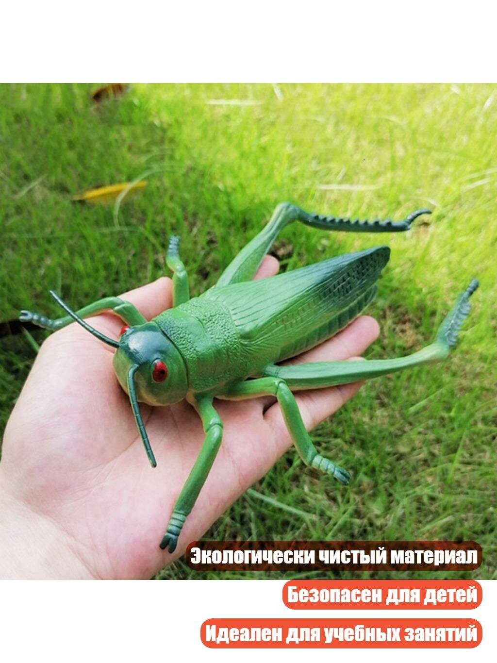 Реалистичная модель паука, 10