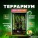 Террариум