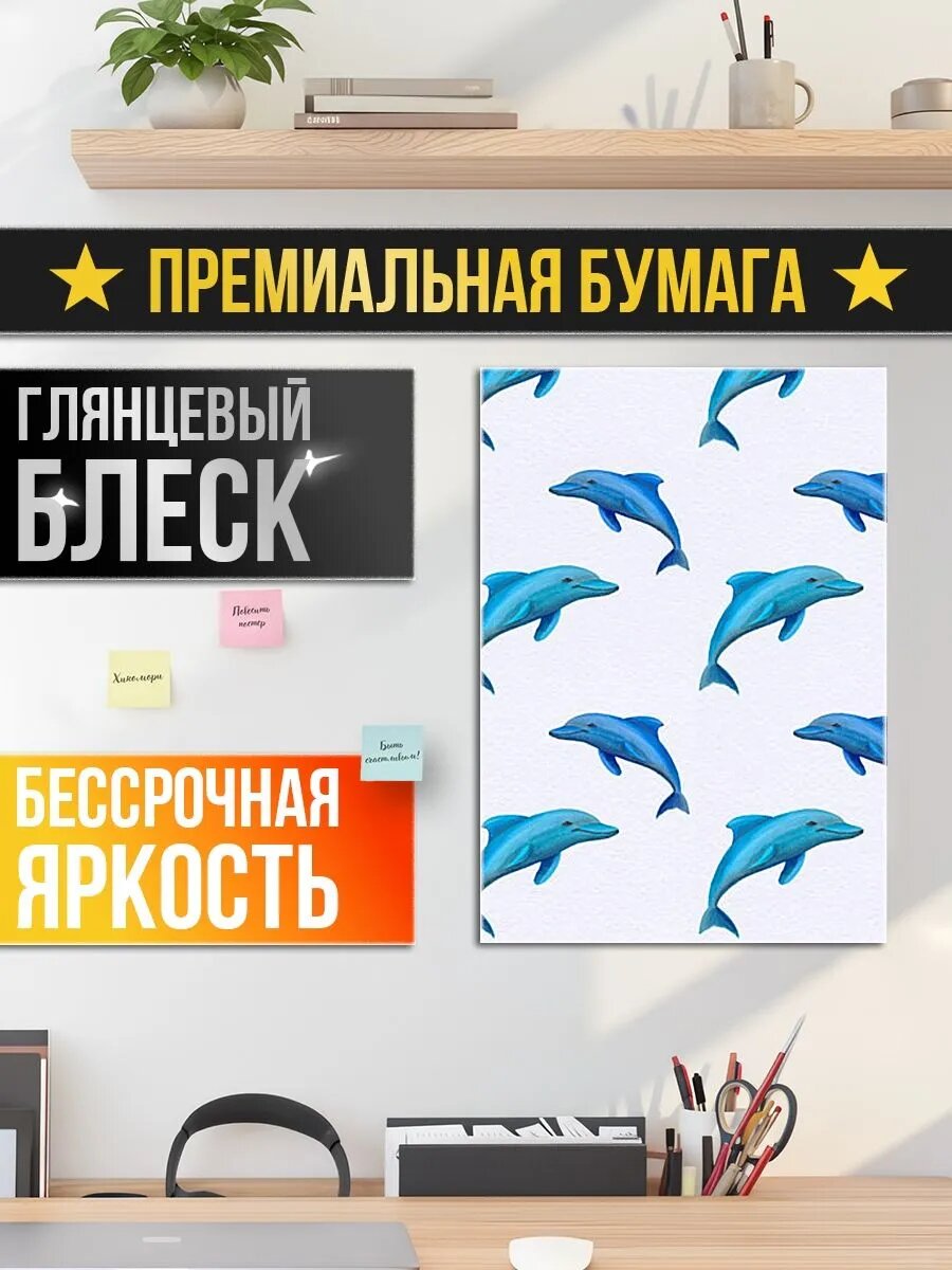 Постер на стену Рай для дельфина — фото 1