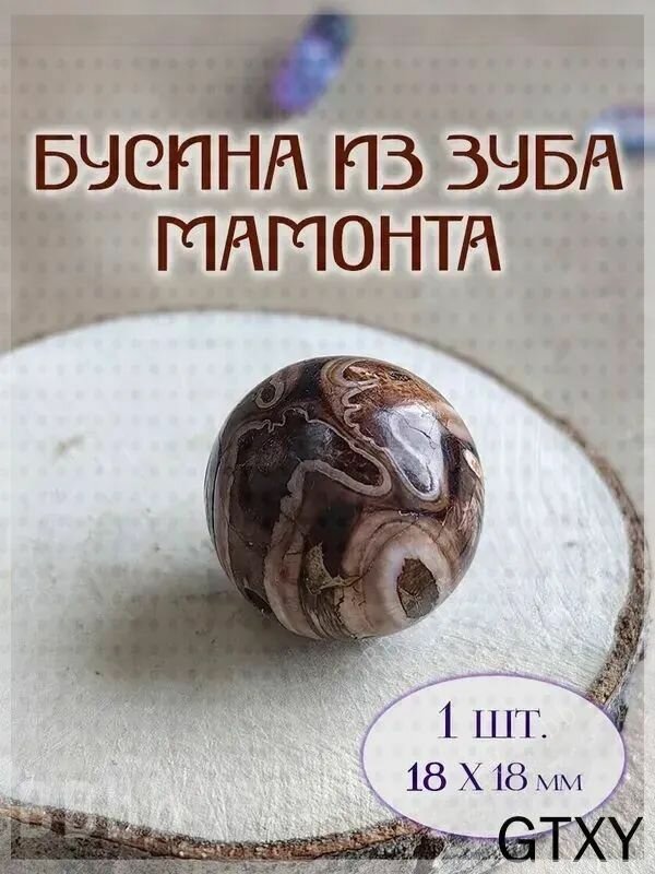 Бусина из зуба мамонта (1шт) для украшений, сережек, браслетов и рукоделия