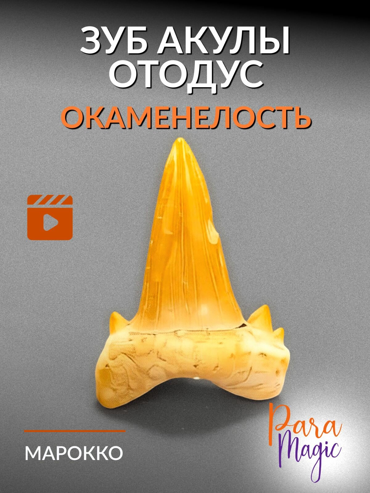 Зуб Акулы Отодус Окаменелость, оберег, натуральный камень