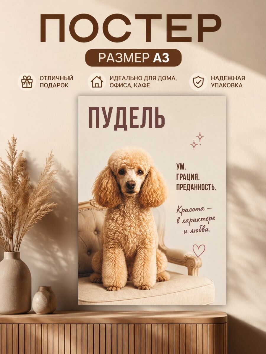 Постер на стену Пудель
