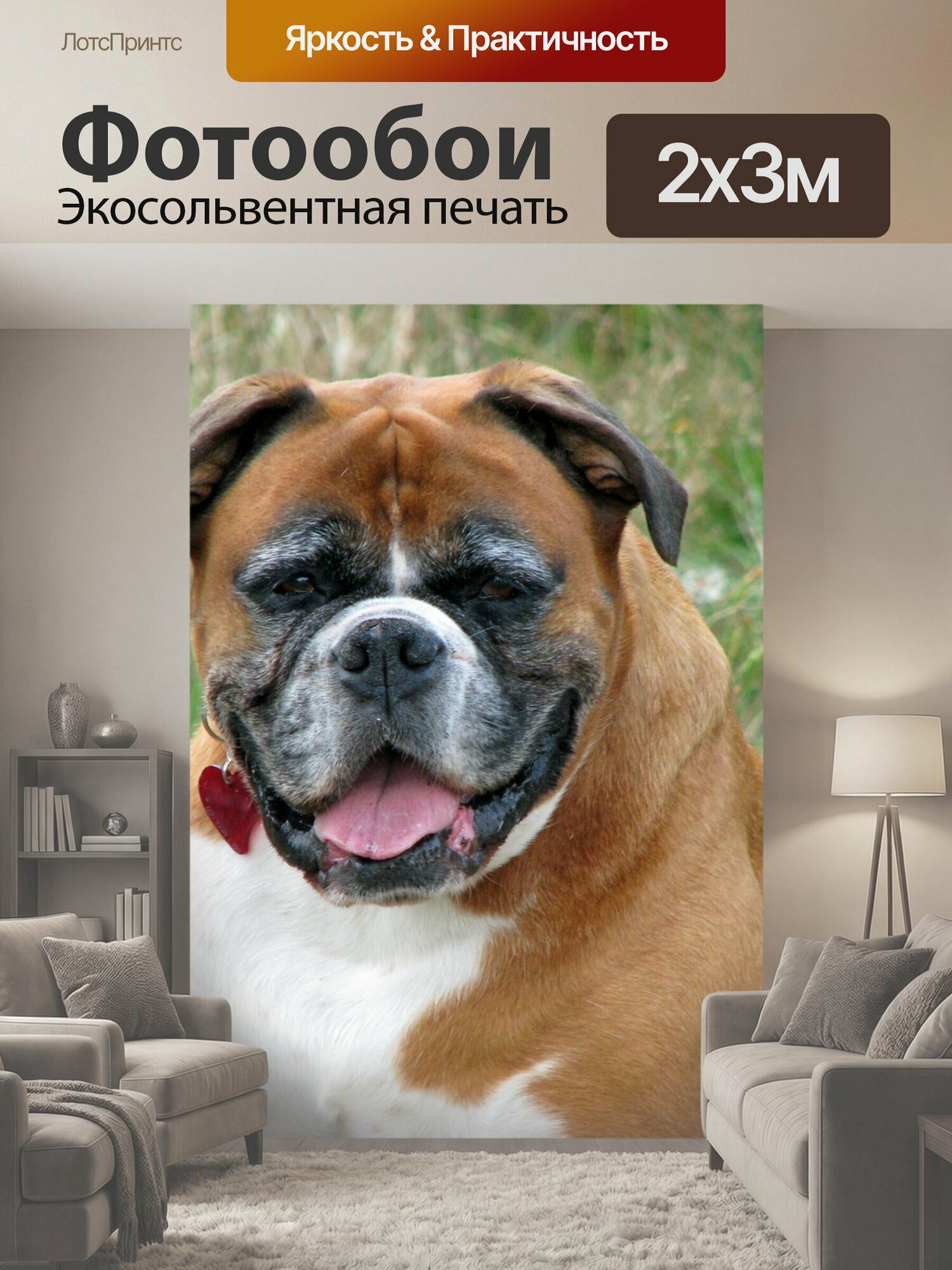 Фотообои "Боксер, собака, домашний питомец" 200x300 см. экосольвентная печать