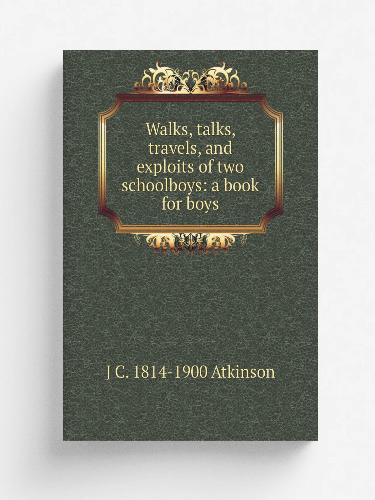 Walks, talks, travels, and exploits of two schoolboys: a book for boys